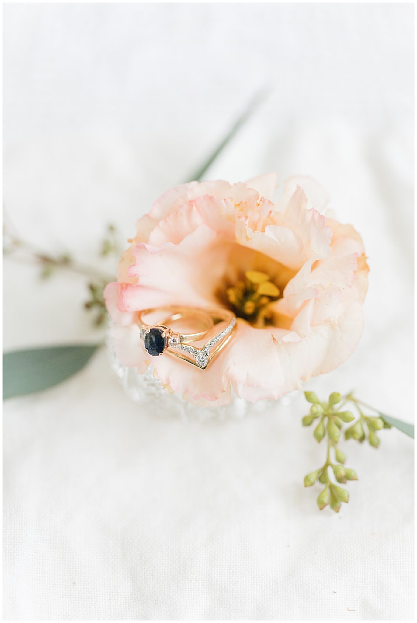 WRAL Azalea Garden Wedding | Raleigh, North Carolina ...